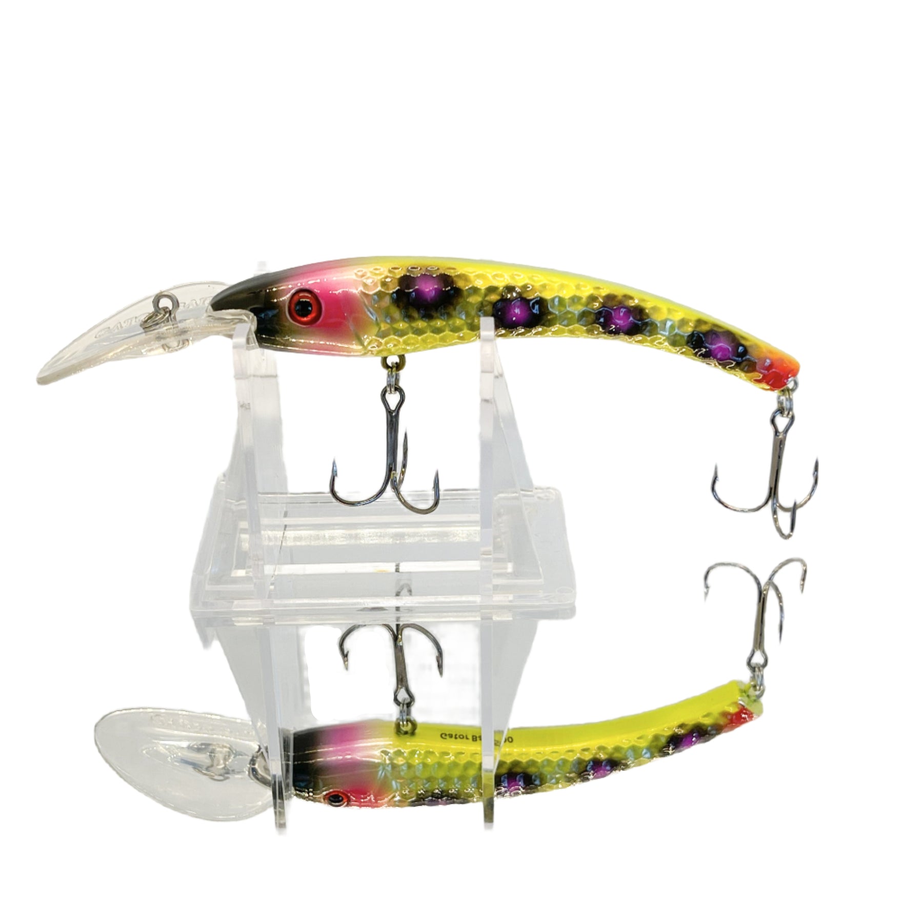 Gator Baits - Gator Bait Tackle